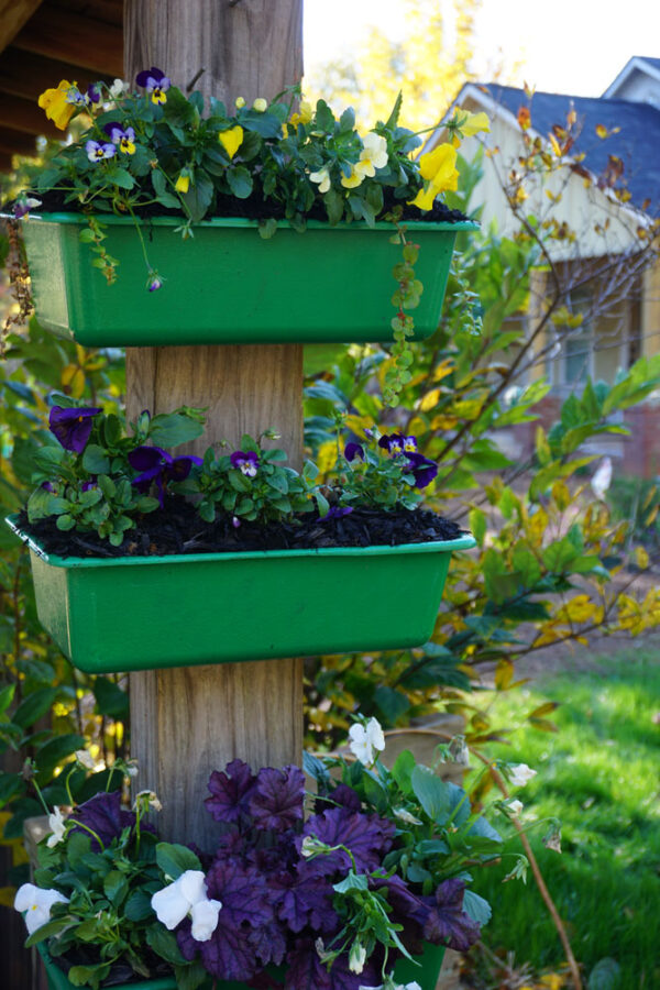 Upward Guardening - Upward Gardening